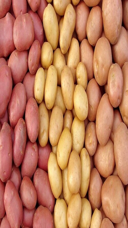 Foreign fruits and vegetables: ଭାରତର ନୁହେଁ ଏହି ଫଳ ଓ ପନିପରିବା , ଲିଷ୍ଟ ରେ ...